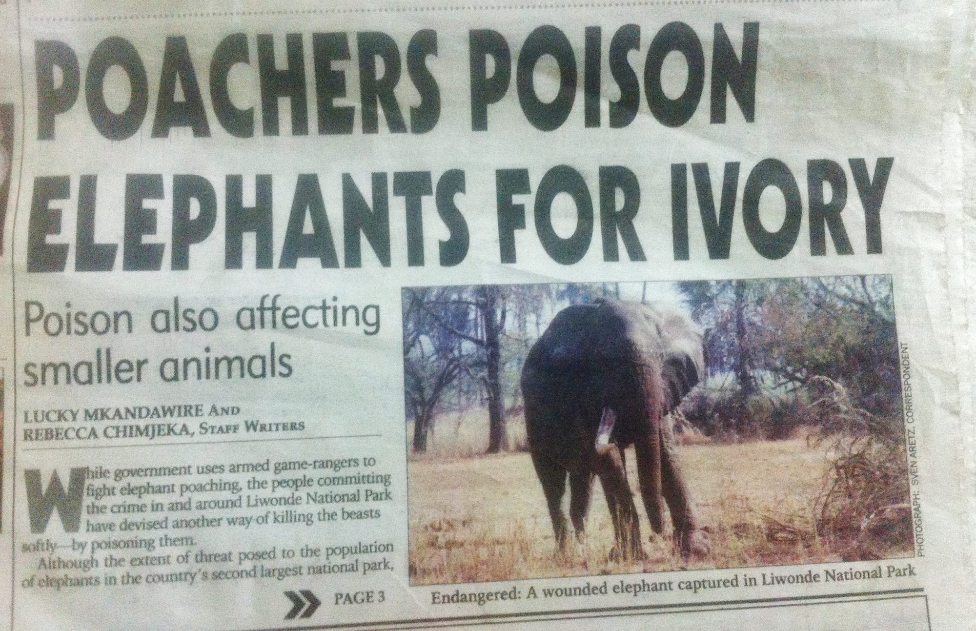 POACHERS POISON ELEPHANTS FOR IVORY - Lilongwe Wildlife Trust