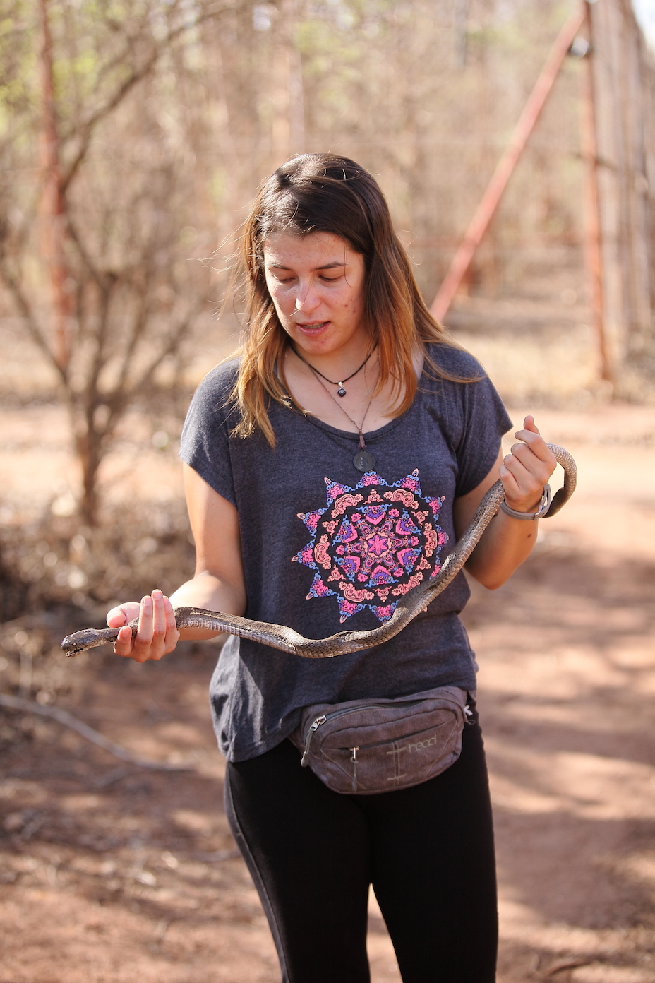 MEET LISETTE: A CHILEAN VET EXTERN - Lilongwe Wildlife Trust