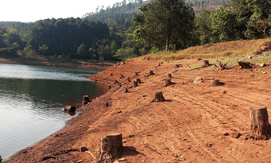 Deterring nature crime - Lilongwe Wildlife Trust